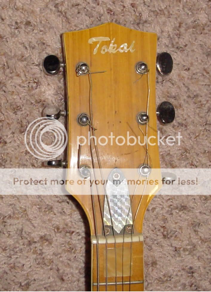 Need Help Identifying guitar | Tokai & Japanese Guitar Forum