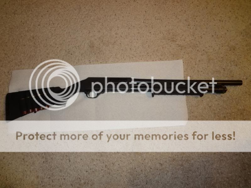 New Pardner Protector | Shotgun Forum