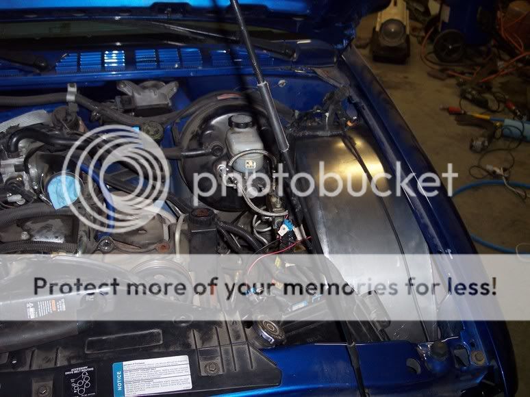 NEW baggin pics | S-10 Forum