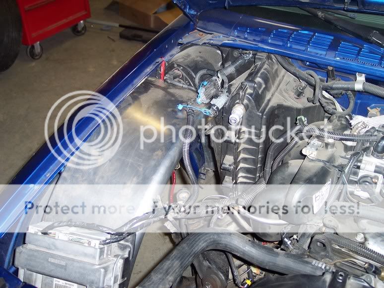 NEW baggin pics | S-10 Forum