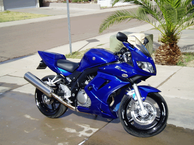 anyone have Sv650 Pic | Page 2 | Sport Bikes