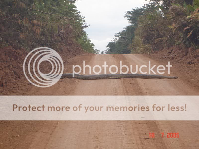 Jacques Etoile Atlantis 500m Diver LE Diamond Steel version ...