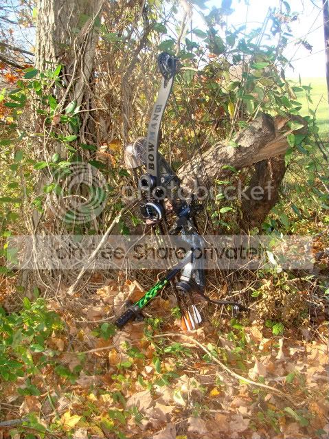 Hunting rigs...Let's see them | Archery Talk Forum