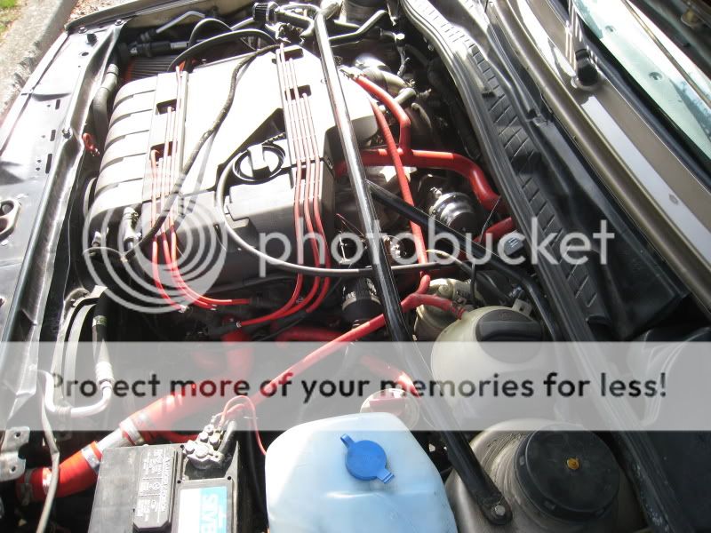 91 Golf VRt | VW Vortex - Volkswagen Forum