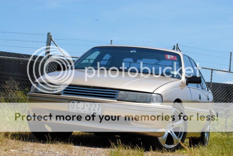 PLATINUM GOLD VN Calais | Just Commodores