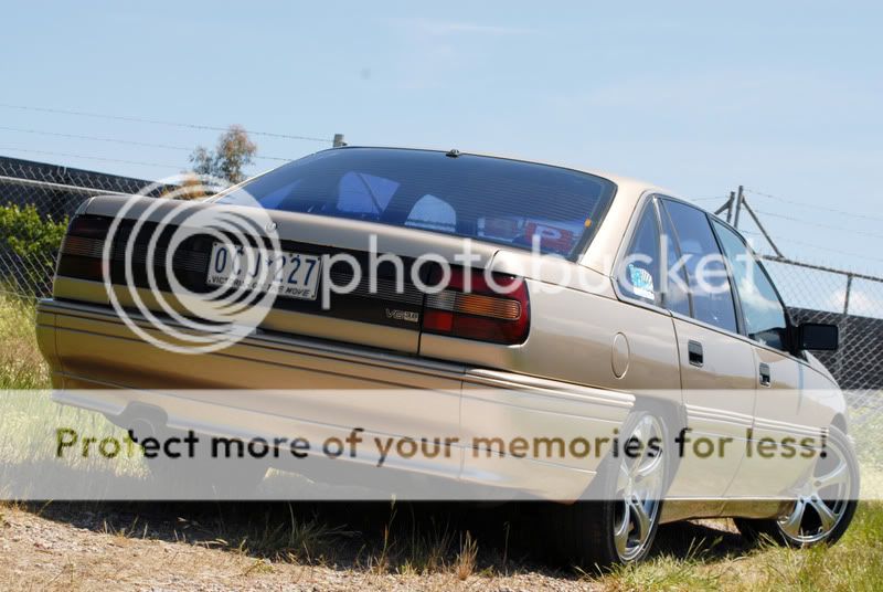 PLATINUM GOLD VN Calais | Just Commodores