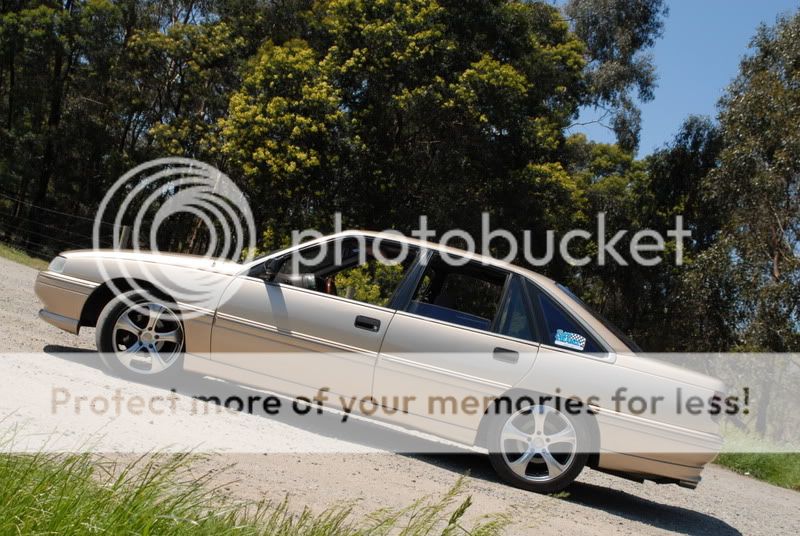 PLATINUM GOLD VN Calais | Just Commodores