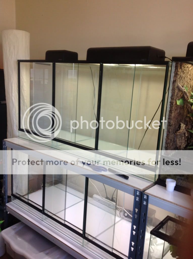 DMS Vivaria custom vivs | Reptile Forums