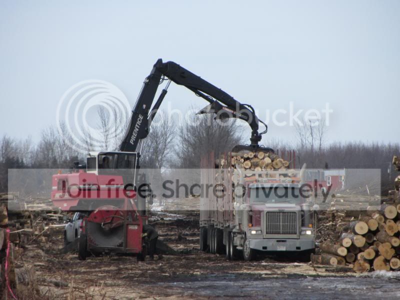 Swamp loggers, nothern edition? | Lawn Care Forum