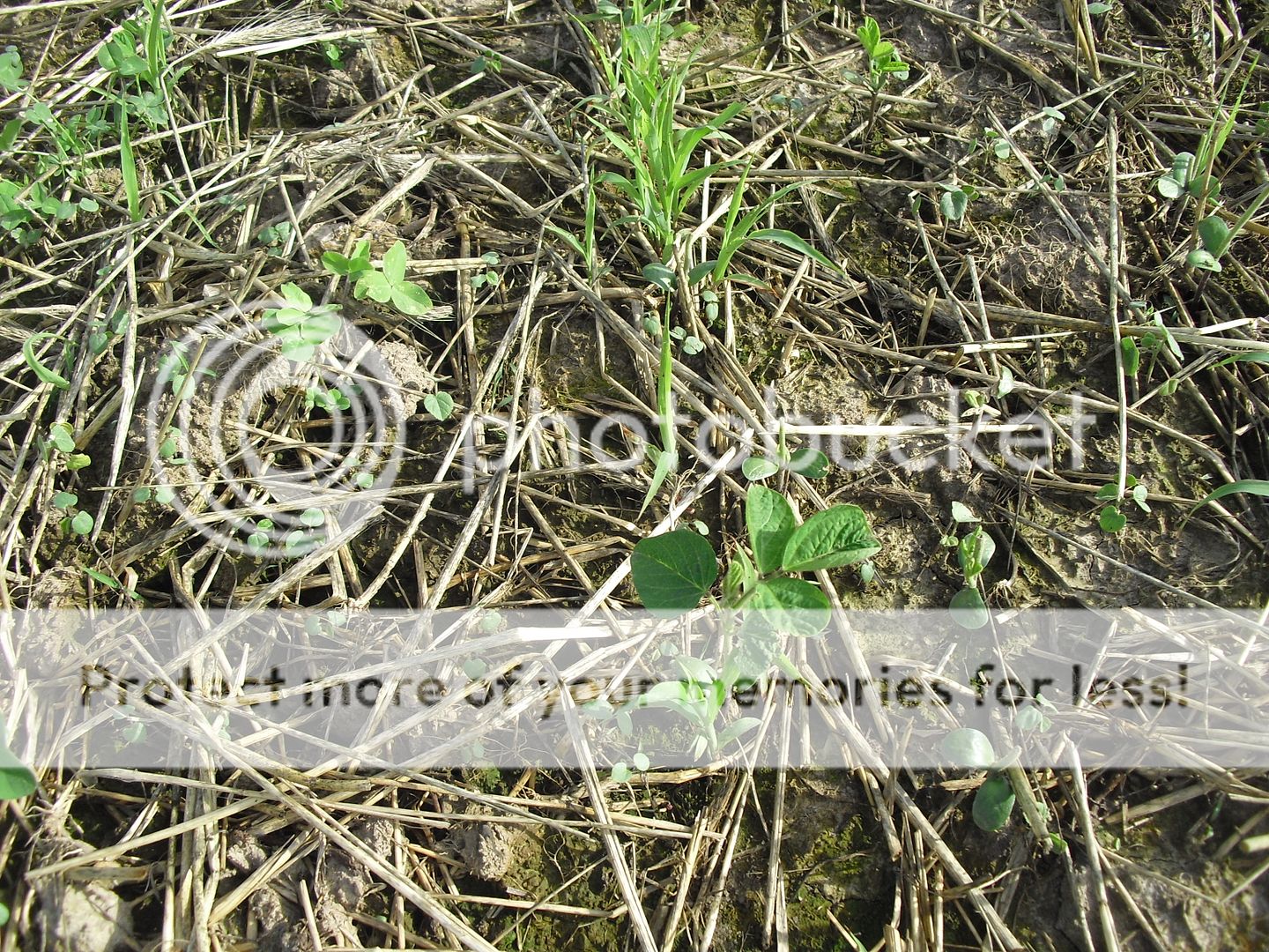 milo | Wildlife Habitat - Lets talk.....