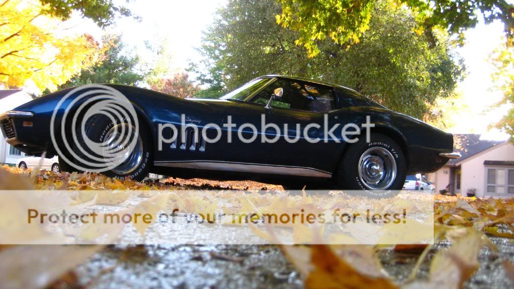 Best Fall Pic's of Your Vettes - CorvetteForum - Chevrolet Corvette ...